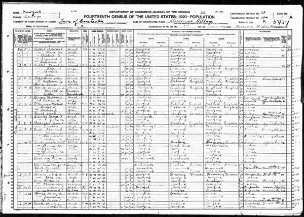 United States Census & Census Substitutes Guides – Family Roots Publishing